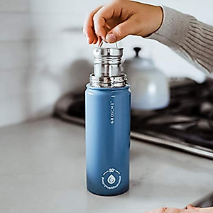 GROSCHE Chicago Steel Infuser Bottle, tea infuser flask, infuser water bottle thermos, Insulated Stainless Steel flask with tea infuser (Blue, 16 fl oz)