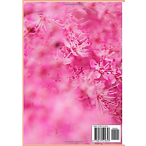 Checking Account Ledger: 7 column Payment Record and Tracker Log Book | Check Register for personal Checkbook | Personal Checking Account Balance Register | 100 pages | 7*10 inch