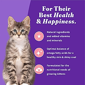 Halo Holistic Kitten Food Dry , Grain Free Wild - caught Salmon and Whitefish Recipe, Complete Digestive Health , Dry Cat Food Bag , Kitten Formula, 6-lb Bag