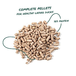 Manna Pro Duck Layer Pellet | High Protein for Increased Egg Production | Formulated with Probiotics to Support Healthy Digestion | 25 Pounds