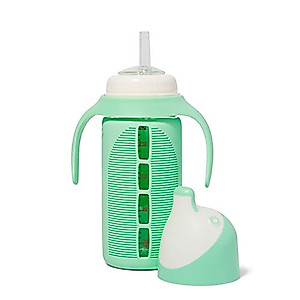 Tabor Place Glass Sippy Cup for Toddlers - The Luca | Spill-proof | Silicone Straw | Mint Green | 8 oz | Liquids Never Touch Plastic | Removable Handles