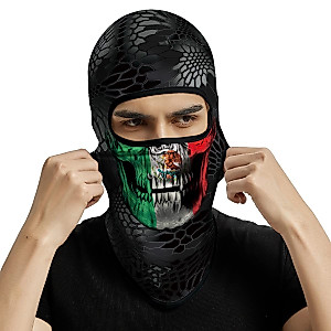 Red Plume 3D Balaclava Ski Mask Motorcycle Full Face Mask Outdoor Tactical Hood Headwear Mask Ghosts Skull Mask Men Women for Halloween (Skull 2)