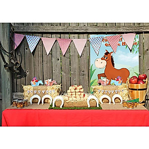 Hooqict Pin The Tail On The Horse Game for Kids Birthday Party Games Horse Theme Birthday Party Supplies for Girls Boys, Large Horse Poster with 30 Tail Stickers Horse Party Favors