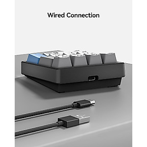 Kisnt Mechanical Number Pad,Hot Swappable Numpad Wired USB 17 Keys Keypad White Backlit Numeric Keypad with PBT Keycaps for Laptop PC Compact Keyboards (Black, Brown Switch)