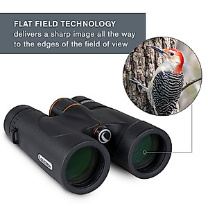 Celestron – Regal ED 10x42 Binocular – ED Binoculars for Hunting, Birding and Outdoor Actvities – Phase and Dielectric Coated BaK-4 Prisms – Fully Multi-Coated Optics – 6.5 Feet Close Focus