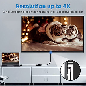 Duttek 4K Down Angled Mini DisplayPort Cable 1FT, Mini DisplayPort Extender Cable, (Mini DP Male to Mini DP Female Adapter) for Mini Displayport 1.4 Cable for Computer Laptop