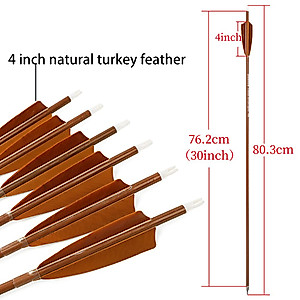 wolfman 30" Archery Carbon Arrows Spine 500 600 Hunting Arrows with 4” Turkey Feather Targeting Arrows for Compound & Recurve &Traditional Bow 6/12pcs (12pcs + Tube, Spine 500)