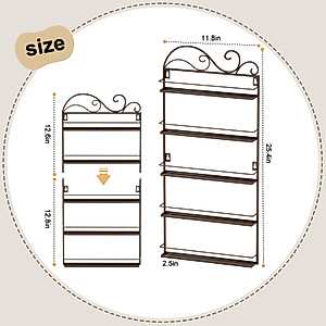 ERYTLLY Wall Mounted Nail Polish Rack, Nail Polish Holder Stand, Rectangle Nail Polish Storage Organizer, Salon Nail Polish Shelf Organizer (Brown- 1 Pack)