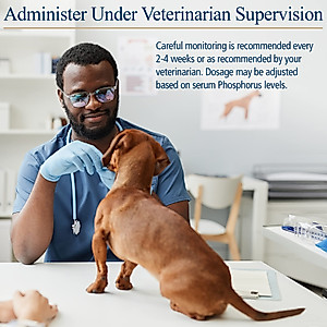 Rx Vitamins Phos-Bind - Kidney Support Supplement Powder - Phosphate Binder for Cats & Dogs for Kidney Health - Supports Normal Kidney Cleanse and Essential Kidney Care - 35g