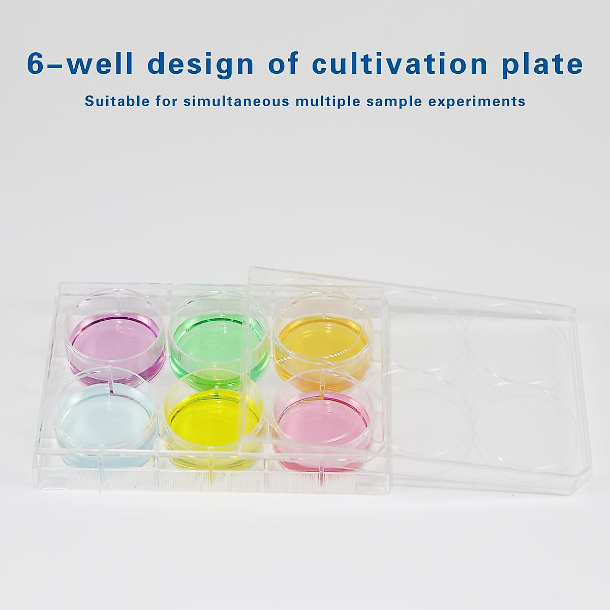 BIPEE Polystyrene Petri Dish 6 Well Cell Culture Plate, Sterile, Pack of 10