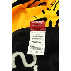 Silver Buffalo Peanuts Multicolor Character Grid 45 x 60 Inch Fleece Throw Blanket