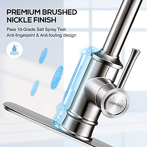 Kitchen Faucet with Pull Down Sprayer Brushed Nickel - WaterSong Kitchen Sink Faucet Single Handle 1Hole with Deck Plate, Farmhouse Kitchen Sink Faucet for Kitchen Sink RV, 3 Spray Mode,100% Lead-free