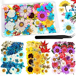 110 Pieces Dried Pressed Flower Leaves with Box and Curved Tweezers Set Assorted Natural Daisy Flowers DIY Real Dry Flowers for Candle Decoration, Resin Epoxy, Jewelry Crafts Making