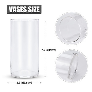 Devilfire 10 Inches Tall (25 cm) Clear Glass Cylinder vases,Pack of 3 Centerpiece Flower Vase,Floating Candle Holder for Home & Garden Decor, Wedding, Party