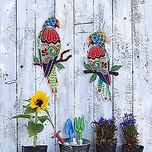 dreamskip Outdoor Wall Decor, 2 Pcak Parrot Decor, Outdoor Metal Wall Art, Mexican Birds Wall Sculpture, For Outside, Yard, Fence, Garden, Patio