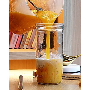 Yirilan Glass Cups - 4 Pack 24oz Mason Jar Drinking Glasses with Lids and Straws,Reusable Boba Cups,Iced Coffee Cup/Tumbler, smoothie cup