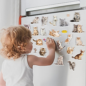 20 Pcs Cat Thick Gel Clings Kitten Window Gel Clings Decals Stickers for Kids Toddlers and Adults Cute Reusable Window Clings for Home Airplane Classroom Nursery Cat Party Supplies Decorations