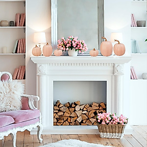 Winlyn 10 Pcs Assorted Artificial Blush Pink Pumpkins Decorative Fall Pumpkins Foam Pastel Light Pink Pumpkins for Fall Farmhouse Autumn Wedding Halloween Party Thanksgiving Festive Table Centerpiece