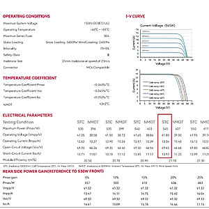 Futuresolar 31PCS Bifacial Solar Panels 545 Watt Monocrystalline Rigid High Efficiency Photovoltaic Module for Commercial and Residential Large-Scale Field Farm Power Stations，CSA Certification