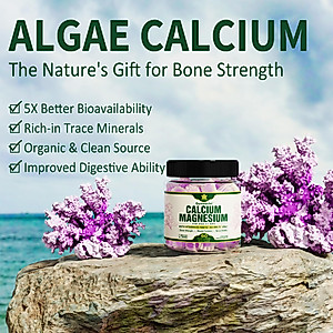 Plant Based Calcium Supplement 600mg with Vitamin D3 K2, Zinc for Bone Strength, Sustainably Sourced Algae Calcium Magnesium 2:1 Ratio, Sugar Free Calcium Gummies 70+ Trace Minerals, Vegan, 60 Counts