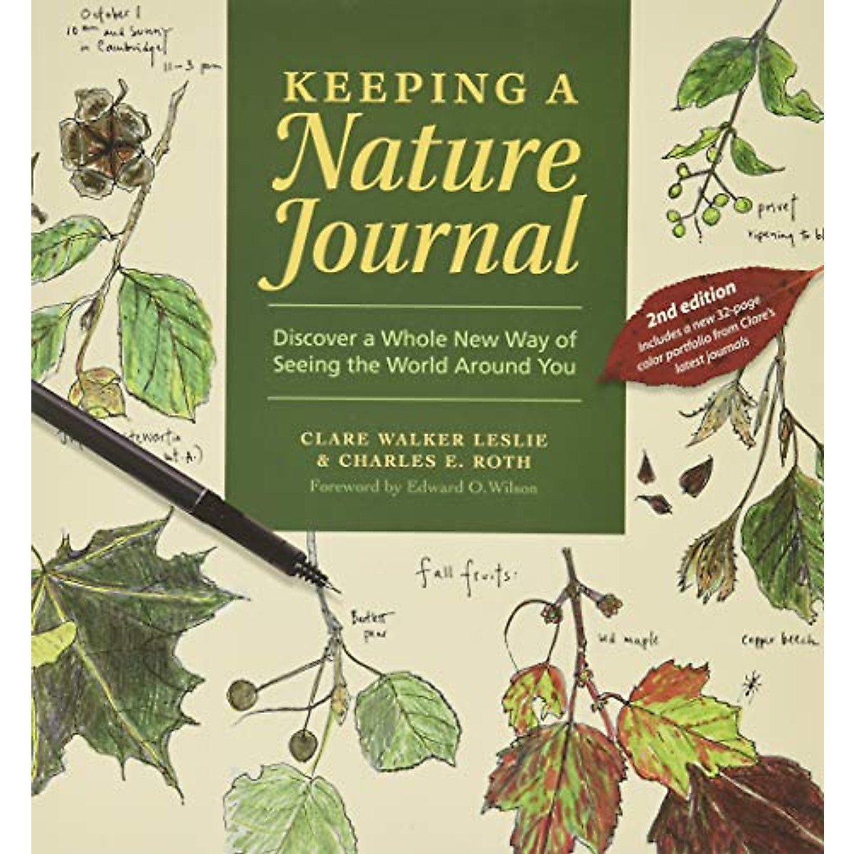 Keeping a Nature Journal: Discover a Whole New Way of Seeing the World Around You
