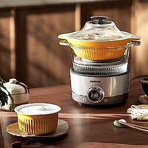 Joydeem Electric Glass Steam Cooker, Ceramic Tagine Pot for Soup, Hot Pot, Seafood, Multi-use Chinese Stew Pot, JD-ZQG9099