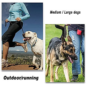 LWBMG Leather Dog Leash 6ft, Heavy Duty Dog Leash, Strong Durable Genuine Leather Braided Dog Leash, Soft and Comfortable Leather Leash for Large, Medium and Small Dogs Training