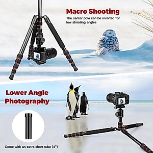 Tripod for Camera, 80“ Heavy Duty Camera Stand Tripod, Professional Ball Head Tripod Stand with Twist Locks, Aluminum Tripod Stand for DSLR Camera Spotting Scope, Video Camera Tripods & Monopods