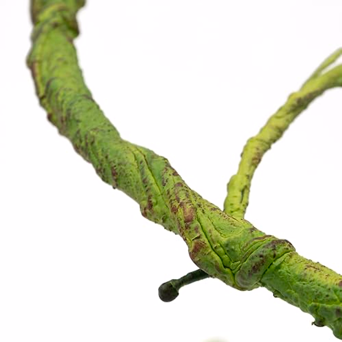 Pangea Reptile Ultimate Vine for Terrarium Habitat (Green)