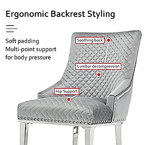 Anewsun Modern Dining Chairs, Light Grey Velvet Upholstered Dining Room Chair with Silver Mirrored Stainless Steel Legs, Set of 2