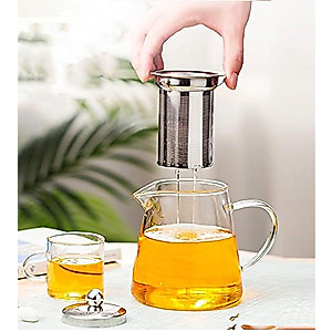 Mini Size Glass Teapot Tea Kettle-with Stainless Steel Removable Infuser for Blooming Tea & Loose Leaf Tea, Microwave & Stovetop Safe, 550ML/18oz (S-550)
