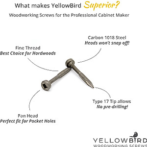 Yellowbird #6 x 1-1/4 Pan Head - Square Plain Lube - Fine Thread - Type 17 Pocket Screw - Bit Included - 800 Ct.