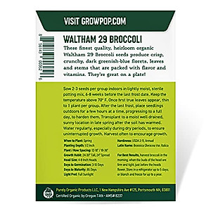 Purely Organic Products Purely Organic Heirloom Broccoli Seeds (Heirloom Waltham 29) Approx 750 Seeds