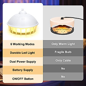 Flea Trap for Inside Your Home, 1 Pack, Flying Insect Trap Refill, 2024 Bed Bug Trap, Carpet Flea Killer, Ant Bait TrapsIndoor, Flea Light Trap for Indoor