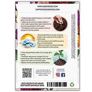 Seed Needs, Bambini Viola Seeds - 600 Heirloom Seeds for Planting Viola cornuta - Beautiful Annual Flowers, Attracts Pollinators/Butterflies (1 Pack)