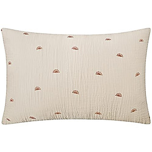 Blissful Diary Toddler Pillow with Muslin Cotton Pillowcase, 13x18 Kids Pillows for Sleeping and Traveling, Crib Pillow, Small Pillow for Kids, Toddler Bed Pillows (Rainbow)