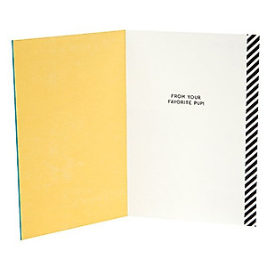 Hallmark Birthday Greeting Card from the Dog (Happy Barkday)