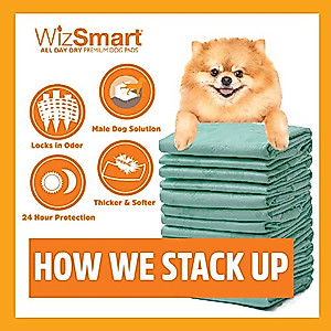 WizSmart Heavyweight Ultra Extra Large 10+ Cup Earth-Friendly & All-Day Dry Premium Dog and Puppy Potty Training Pads, Quick Drying, Absorbent, Odor-Free, Stay Put Tabs, 10+ Cup XL (24 Count)