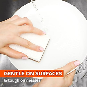 Full Circle in a Nutshell Walnut Shell Non-Scratch Scrubber Sponge, Pack of 3