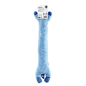 Outward Hound Longidudes Raccoon Plush & Squeaky Dog Tug Toy