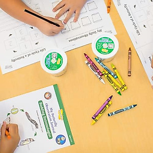 Butterfly Garden: Original Habitat and Two Live Cups of Caterpillars with STEM Butterfly Journal – Life Science & STEM Education – Butterfly Science Kit