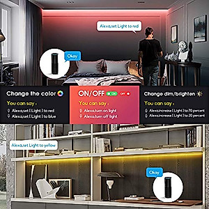 GIDERWEL Smart RGBWW LED Light Strip Plus with ZigBee LED Controller Dimmable RGBCCT LED Strips Starter kit Work with ZigBee Hub Bridge,Lightify Hub,Echo Plus for APP/Voice Control Ambiance Lighting