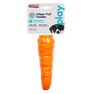 Outward Hound Foodies Carrot Treat-Dispensing Dog Chew Toy, Orange