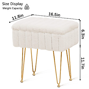 Wimarsbon Storage Ottoman, Vanity Stools with Metal Legs, 16.5" x 11.8" x 18" Modern Faux Mink Fur Footstool, Makeup Chair with Anti-Slip Feet, Accent Table,Footrest,Storage Bench for Bedroom