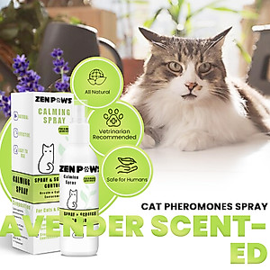 Zenpaws Cat Phermone Calming Spray - Quickly Relieve Stress - Reduces Scratching Furniture, Peeing, Marking, Anxiety - Supports Relief for Fireworks, Travel, Vet Visits 60ml