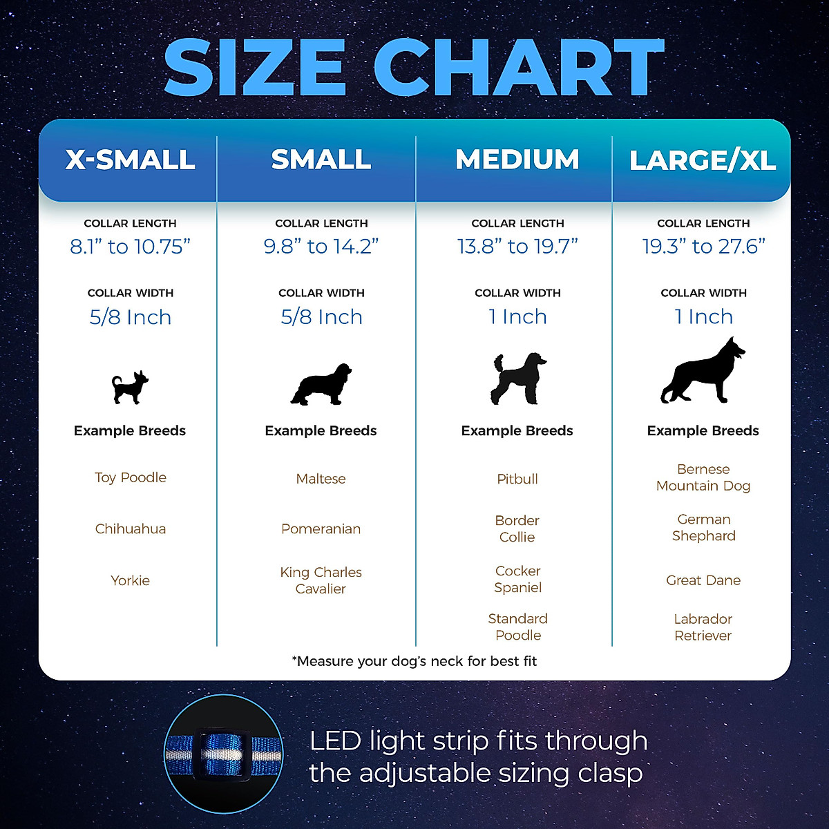 Blazin Brightest Light Up Dog Collars - The Original LED Dog Collar with 1,000 Feet of Visibility - USB Rechargeable Waterproof Dog Collar Light - Dog Lights for Night Walking - USA Brand