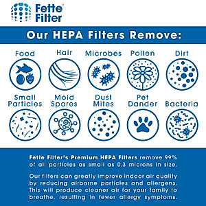 Fette Filter - FLT4825 Premium True HEPA H13 Filter B Compatible with GermGuardian Air Purifier AC4825 Series AC4300BPTCA AC4850PT AC4900CA CDAP4500BCA Oransi Finn Black & Decker BXAP148 1-Pack