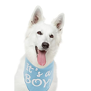 It’s a Boy or It’s a Girl Dog Bandana Pregnancy Announcement Dog Bandana Baby Announcement Triangle Pet Scarf Scarves Gender Reveal Photo Prop Blue