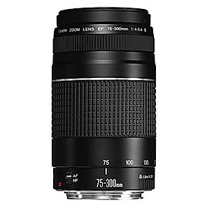Canon EF 75-300mm f/4-5.6 III Lens Bundled with Lens Hood + Lens Pouch + 58mm UV Filter + Lens Cap Keeper + Microfiber Cleaning Cloth (6 Items)