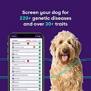 Orivet Dog DNA Test | Comprehensive Dog Breed Test Kit, Genetic Testing and Life Plan GenoPet+ for Canines